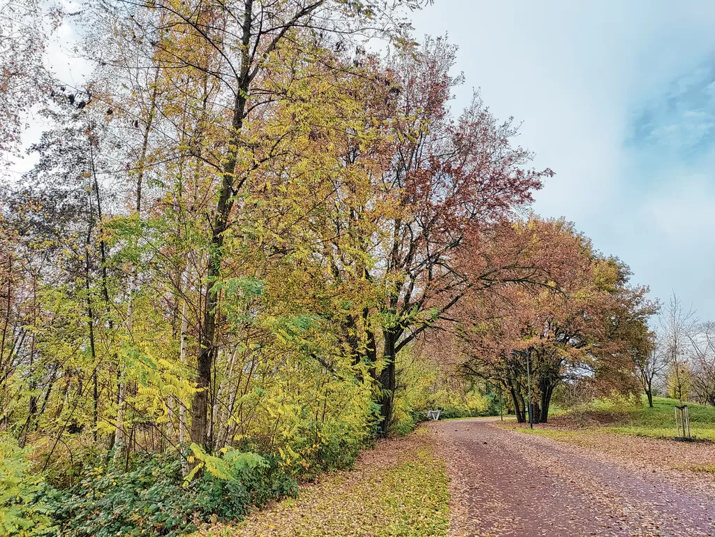 Samen voor een schone toekomst